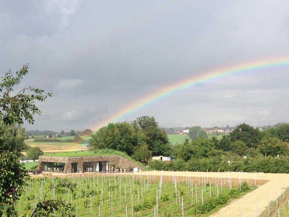 Wijnen uit Vijlen het beste - Chapeau Magazine